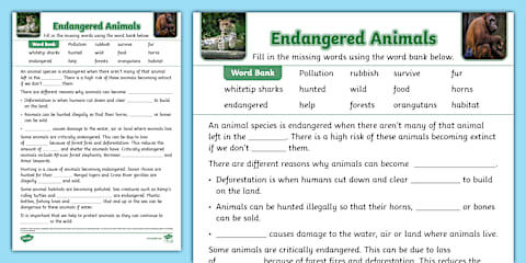 Endangered Animals Early Writing Activities