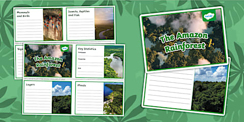 The Effects of Deforestation on the Amazon Rainforest Activity