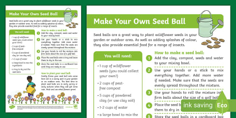 Make a Seed Ball Craft Instructions