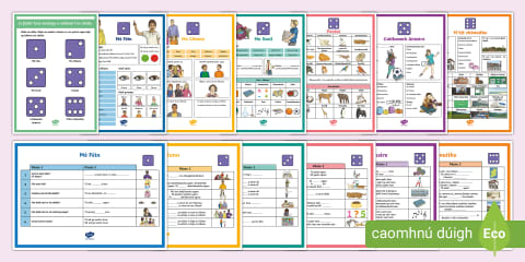 Me Fein PowerPoint and Activities Pack | 3rd/4th Class