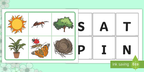 Linguistic Phonics SATPIN Bingo Game