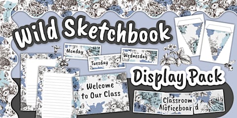 Wild Sketchbook Year 3 and 4 Common Exception Words Display Poster