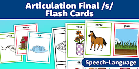 Articulation Initial /s/ Words Flash Cards for SLP