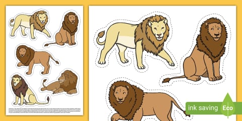 Lion Doodle Poster
