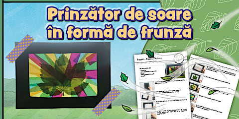 Fluture cu elemente din natură – Activitate practică