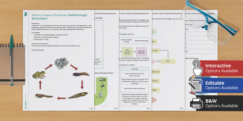 Python Fact File - Twinkl - Computing