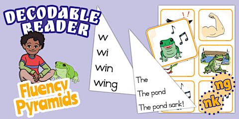 Foundation Phase Phonics - Cat and Dog Decodable Readers - Fluency ...