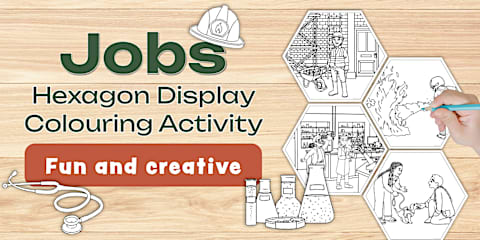 Species of Frogs Instant Photo Style Display Images