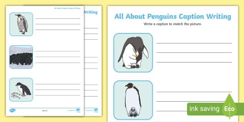 Penguin Simple Sentence Matching Activity