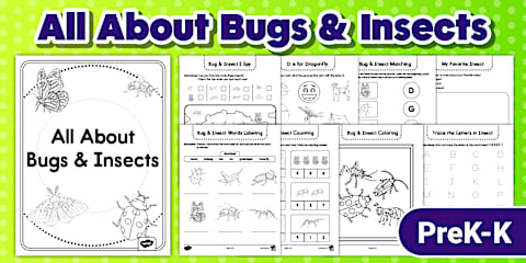 Theme Discussion: Insects