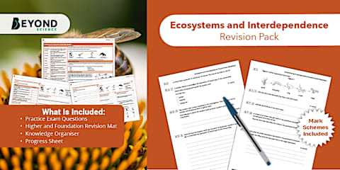 Relationships in Ecosystems: Interdependence Resource Pack
