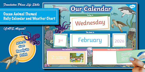 Ocean Animals Interactive Colouring