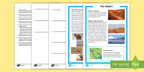 Camel Differentiated Reading Comprehension Activity