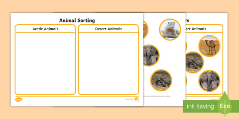 Mammals Sorting Activity