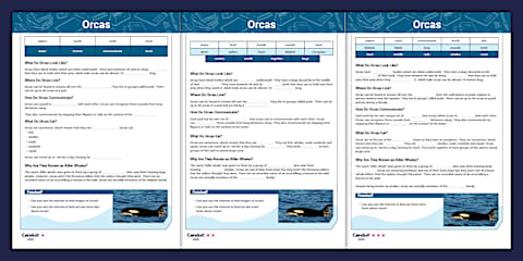 Reinforcing Reading: Rainforest Habitat Cloze Passages
