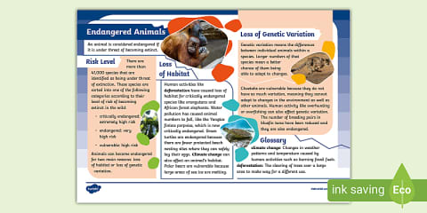 Endangered Animals of Canada Fact File Template