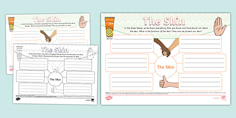 Five Senses and Their Functions Mind Map