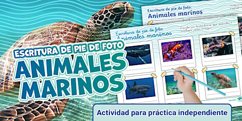 Ficha de actividad: Organizador de elementos del cuento - Hansel y Gretel
