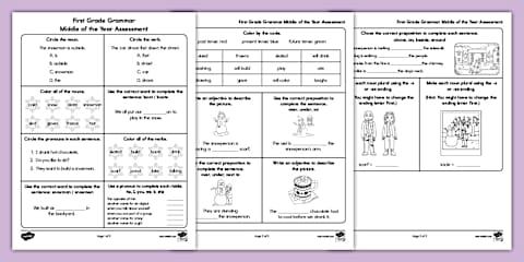 First Grade Common and Proper Noun Assessment