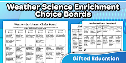 Critical Thinking Brain Teaser Puzzles for Gifted Education