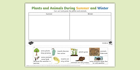 Animals and the Seasons Worksheet