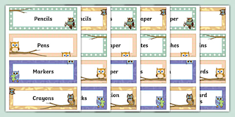 Adorable Owl Theme Classroom Decor Pack