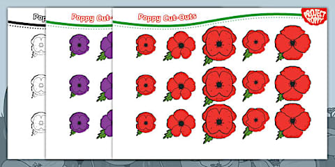 Anzac Day Photo Display Bunting