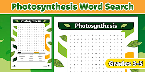 Photosynthesis Labelling Worksheet
