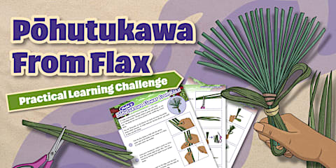 Raranga Putiputi Activity