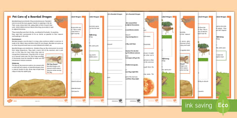 LKS2 Hedgehogs Reading Comprehension Activity