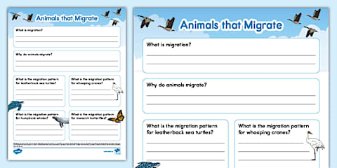 Animal Migration Research Worksheet