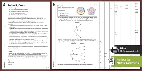 Year 10 Probability Questions
