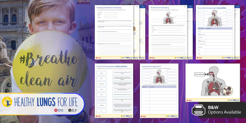 The Lungs Diagram Activity Pack
