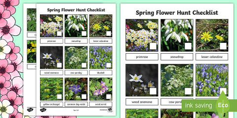 Spring Flowers Scavenger Hunt