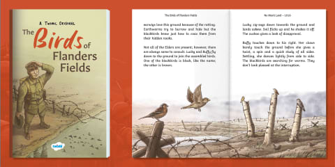 Years 5-6 Reading: The Birds of Flanders Fields Lesson 3