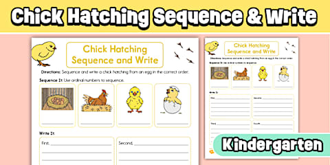 Life Cycle of a Chicken Sequence and Write Worksheet