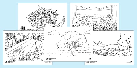 Nature Colour with Patterns Activity