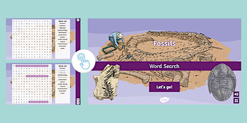 Fossils Interactive Matching Game
