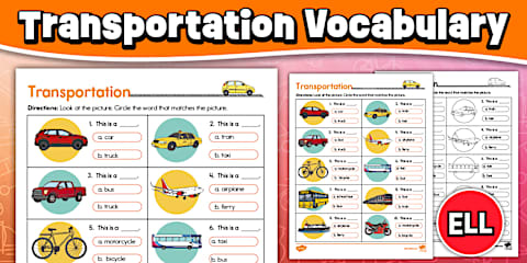 ELL Curriculum: Level 4, Lesson 11 How Many Are There? Worksheet