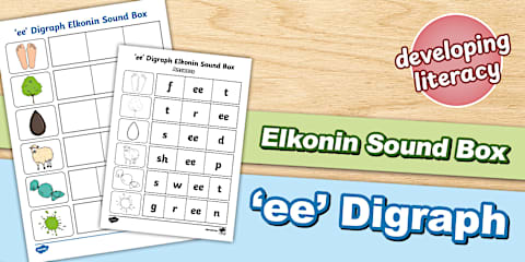 'ng' Digraph Elkonin Sound Box Activity Sheet