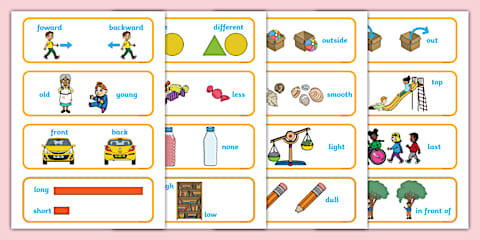Find The Same Concept Activity Cards