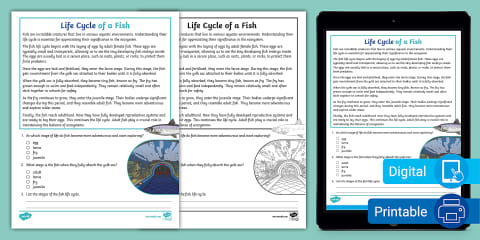 Coral Reefs: Fish Classification Key