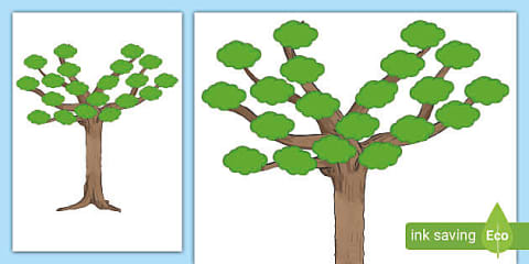 Identity Belonging Tree - EYLF - Twinkl
