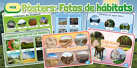 Tipos de habitats - Pôsteres