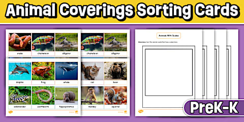 Animal Skin Coverings Interactive Matching Activity