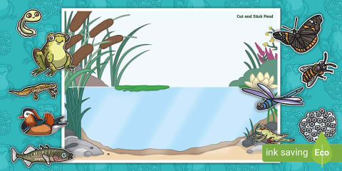 Pond Life Photo PowerPoint