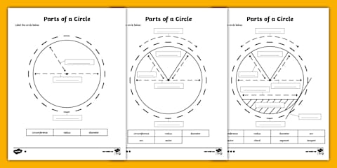 Fifth Grade Pi Day Reading Passage Comprehension Worksheet