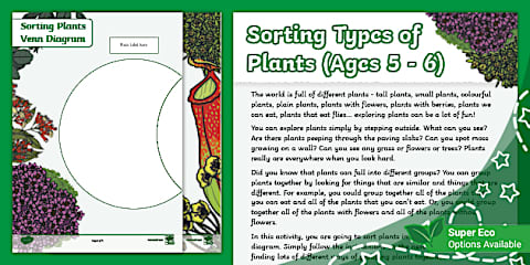 Types of Plants Mind Map