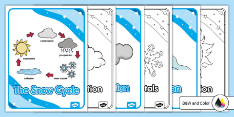 Life Cycle of a Snowman Posters