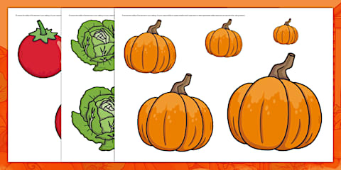 Vegetable Size Comparison Measuring Activity